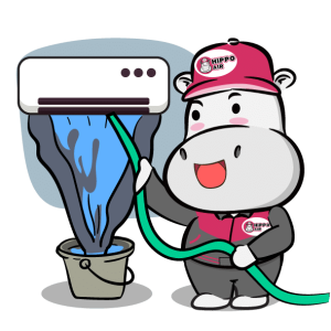 รูปแบบของการล้างแอร์ - HIPPO AIR